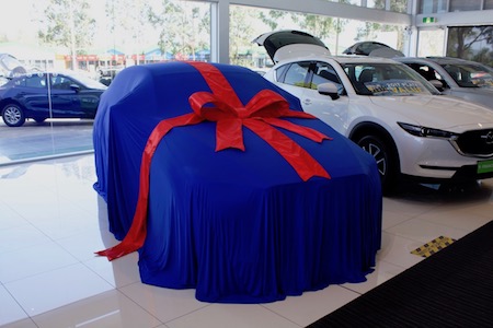 Large Bows for Cars | Big Bows for Cars | Auto Dealership Products