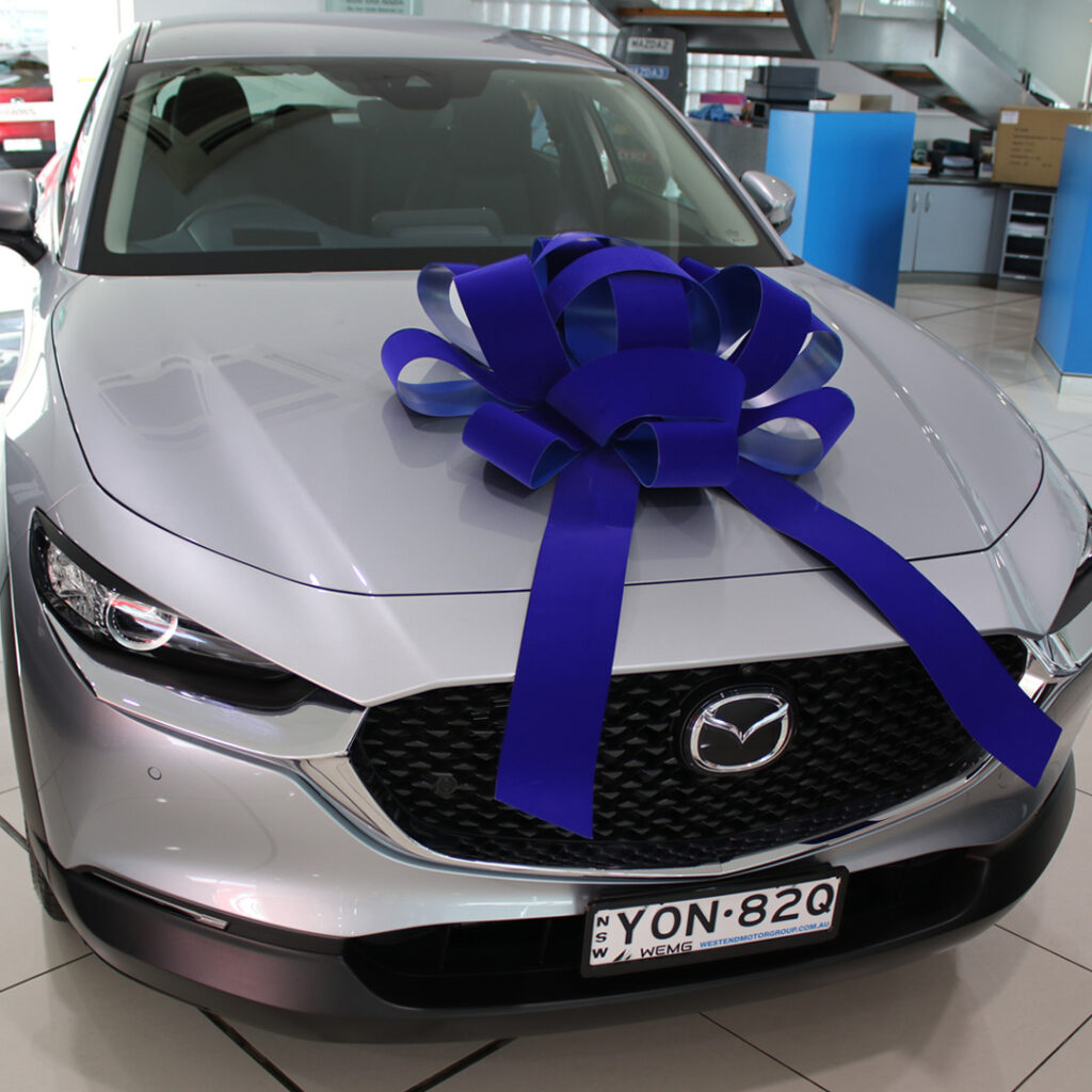 Velvet Bows Archives - Auto Visuals