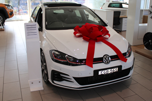 Large Bows for Cars | Big Bows for Car Dealers