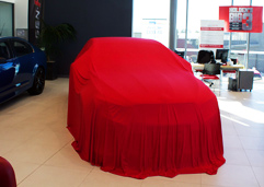 Big Bows for Cars | Unveil Car Covers | Car Reveal Covers